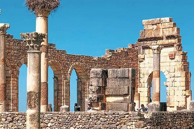 Meknes | Volubilis Full-Daytour from Rabat