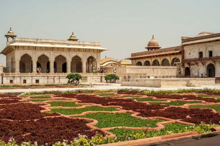 Taj Mahal | Agra Fort | Full-Daytour